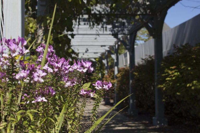 Gardening Tips for Fall | Castle Farms | Beautiful Event Venue Michigan